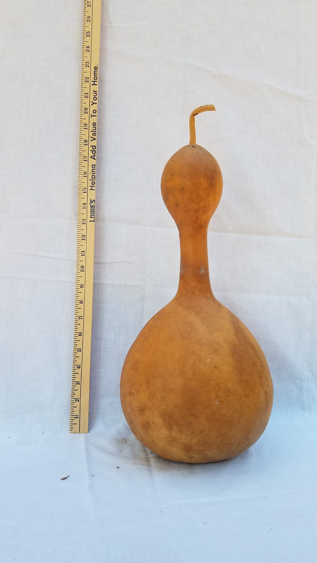 Gourd Seeds – Bottle, Indonesian Water - The Gourd Barn