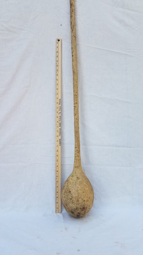 Gourd Seeds- Dipper, Extra Long Handle - The Gourd Barn