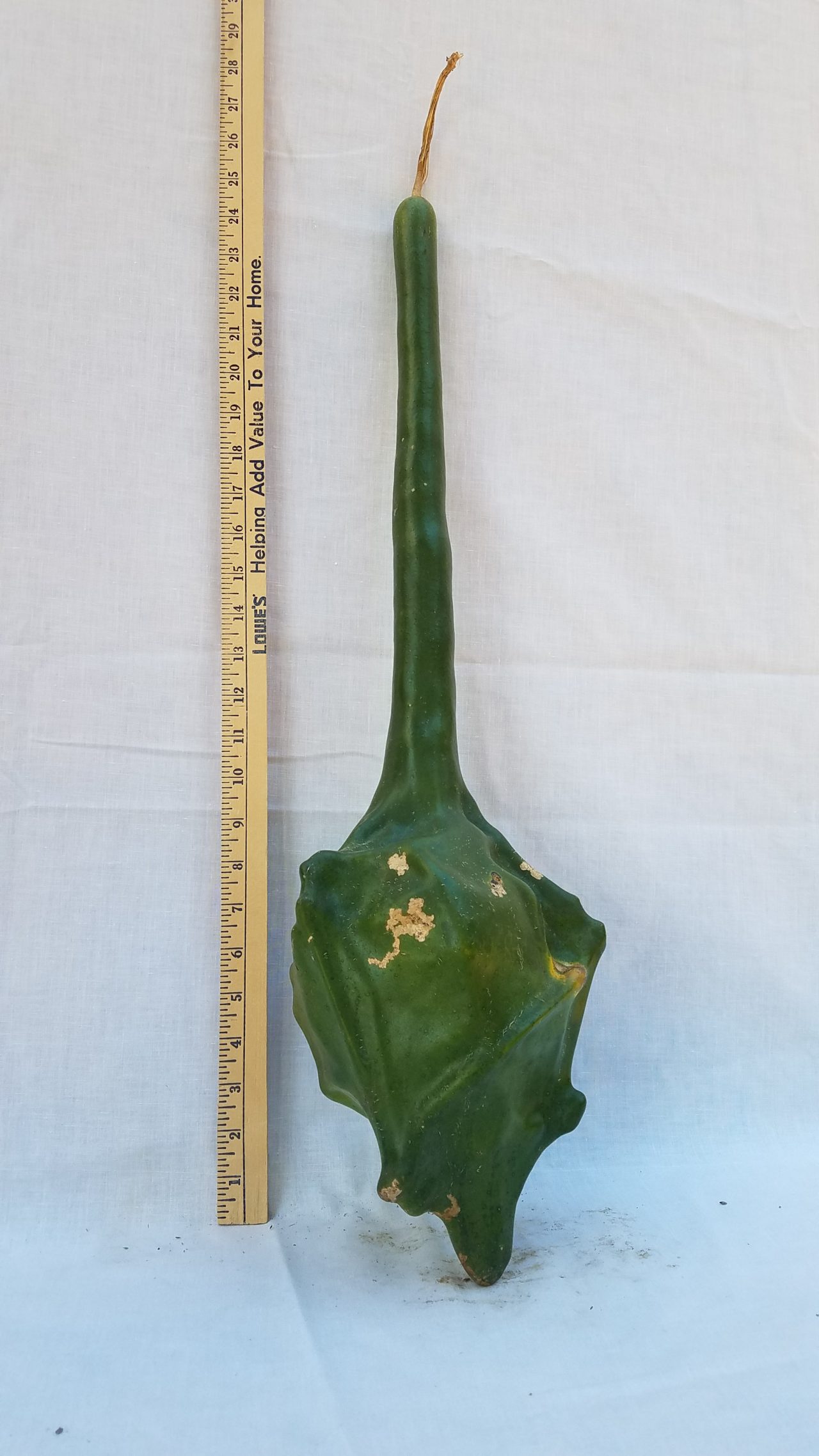 Gourd Seeds – Maranka - The Gourd Barn